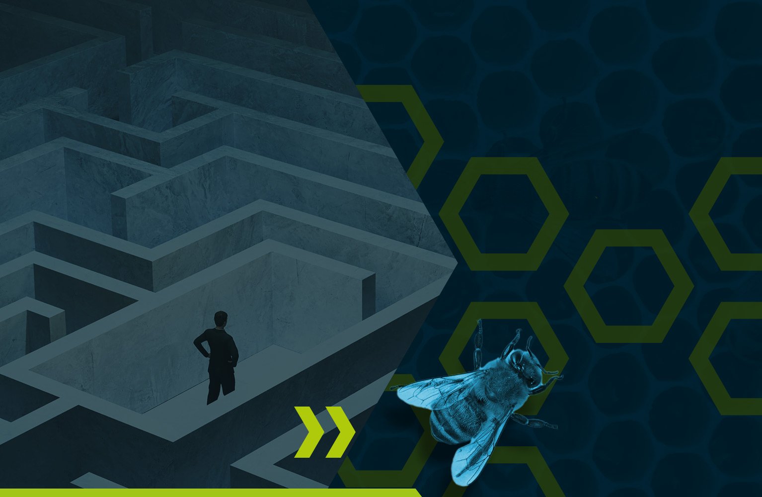 Robotergestützte Prozessautomatisierung für Microsoft365 – hartech